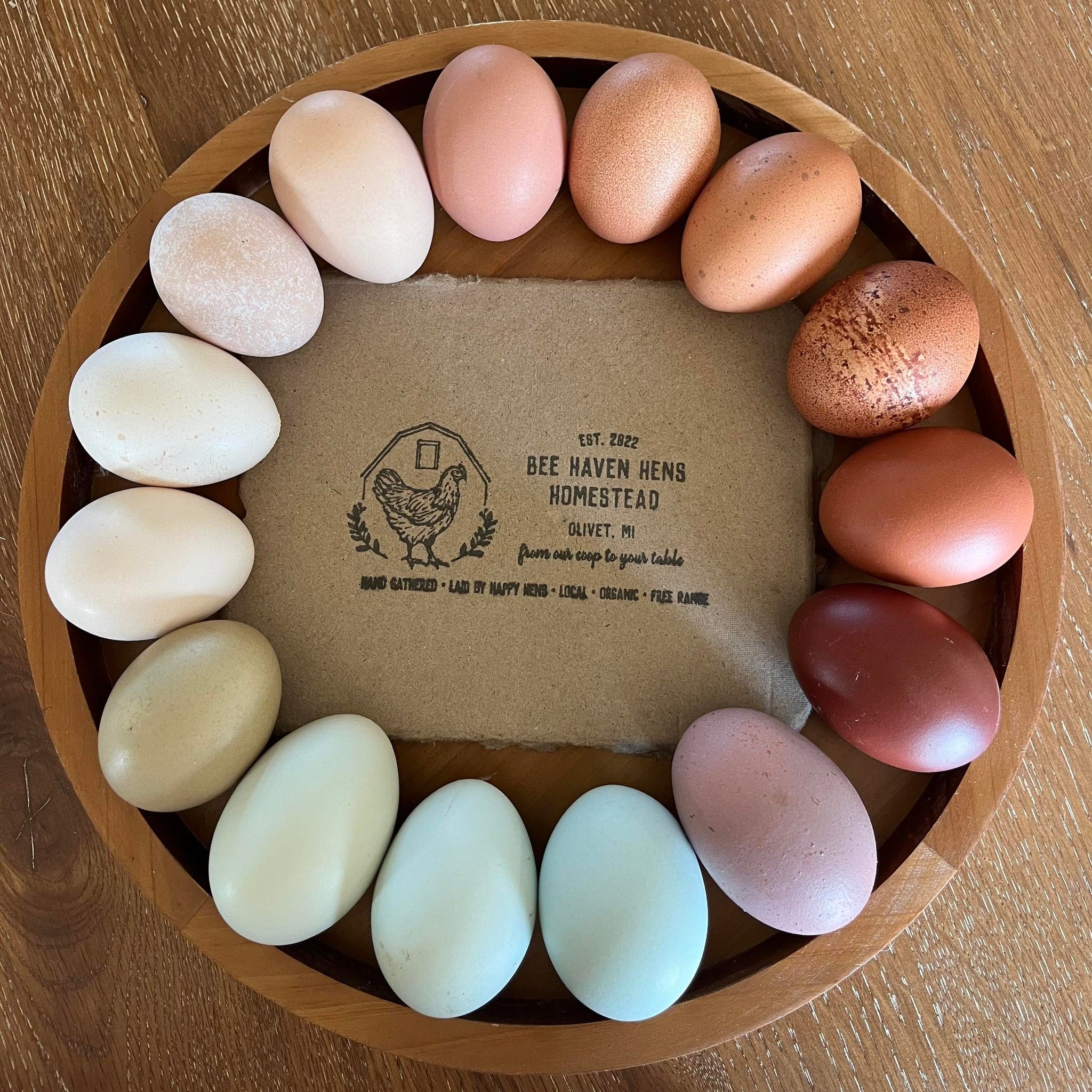 Silverudd's Blue Hatching Eggs – Bee Haven Hens Homestead